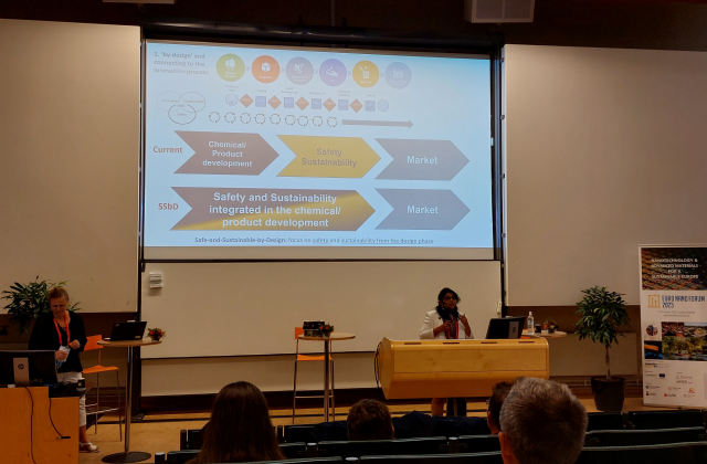 Prosperity within the Safe and Sustainable-by-Design Framework: Key ...