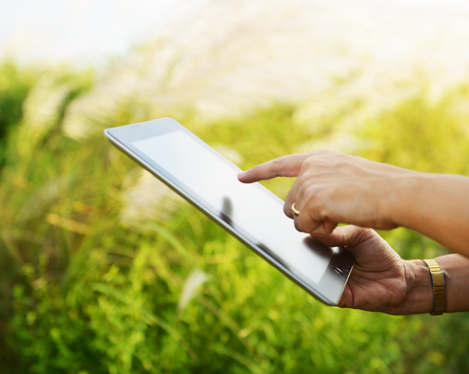 Contact us - SusChem